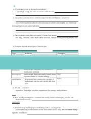 Energy Flow In Ecosystems Worksheet 1 Pdf Name Block Date Energy