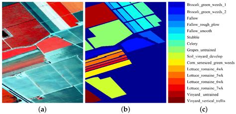 Electronics Free Full Text Hyperspectral Image Classification Using Geodesic Spatial