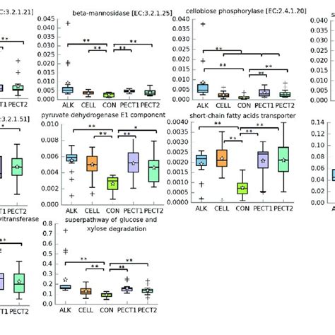 Significantly Different Metagenomic Functions In Relative Abundance