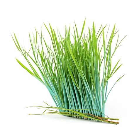 Premium Ai Image Shelter Switchgrass Bluegreen A Mini Bouquet High