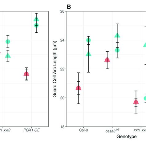 Experimentally Observed And Computationally Predicted Guard Cell Download Scientific Diagram