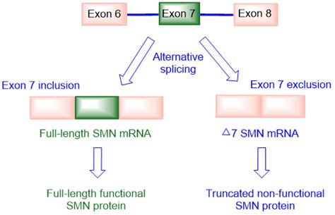 杰克说药丨用小分子靶向rna：药物发现的前沿 知乎