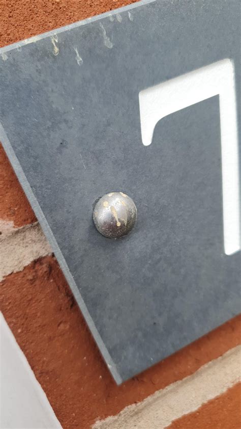 Removing This Kind Of Screw R Diyuk