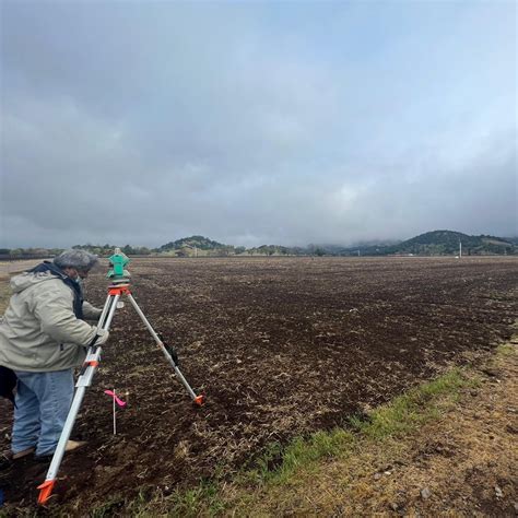 Gmz Trellis Your Trellis Experts