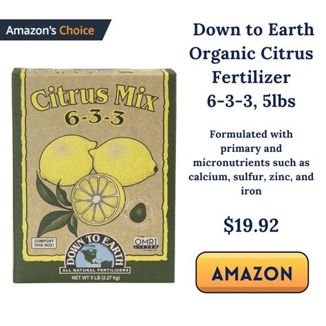 Best Citrus Tree Fertilizer What When And How To Use It All Roads Lead To Italy