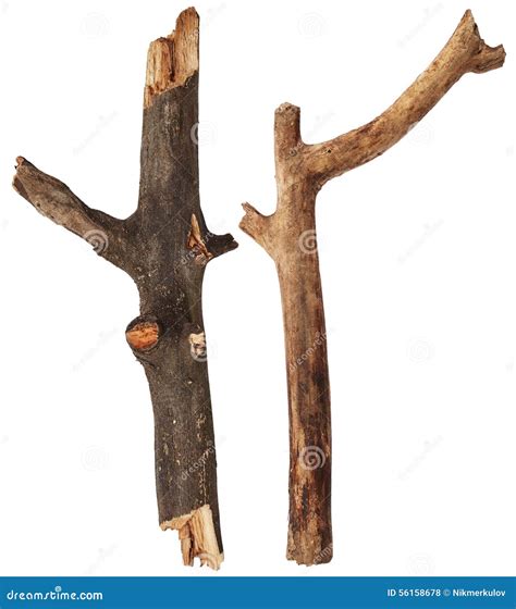 Broken Tree Branches Stock Photo Image 56158678