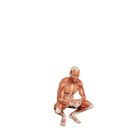 Pose 0000029 Female Squatting Posemaniacs Royalty Free 3d Pose