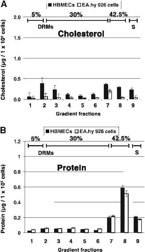 Cholesterol A And Protein B Content In Sucrose Density Gradient