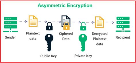 Asymmetric Encryption In Aspnet Core Web Api Dot Net Tutorials