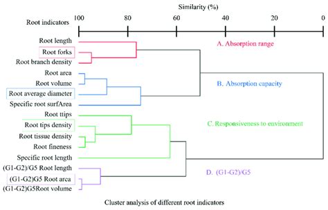 Hierarchical Cluster Analysis Of Root Traits Of Tomato Seedlings The