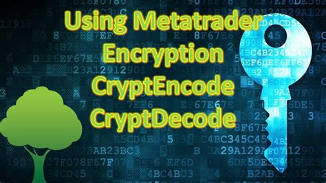 Things You Need To Know About Using Encryption In Metatrader