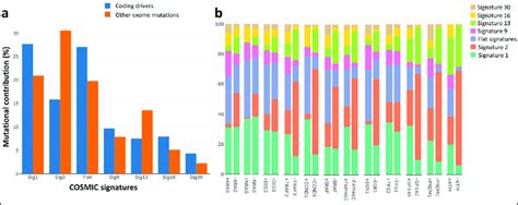 Mutational Signatures Associated With Driver Genes A Cumulative