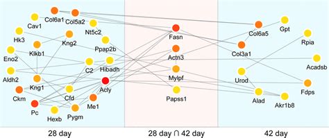 The Ppi Network Of Differentially Expressed Proteins The Ppi Analysis