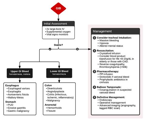 Evaluation And Management Of Gastrointestinal Bleeding Diagnosis Management Em Gi Bleed