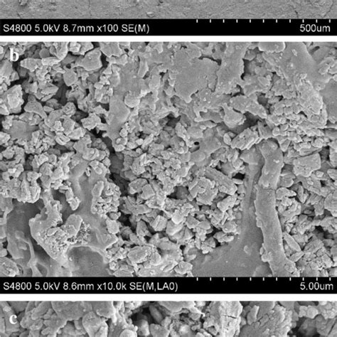 Sem Microstructure Of Upper Surface A Upper Surface ×100 B Upper