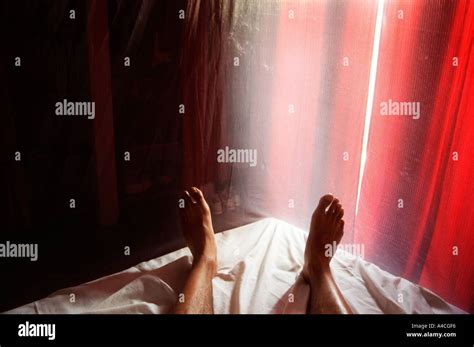 Man Under Mosquito Net Stock Photo Alamy