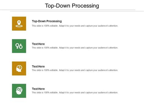 Top Down Processing Ppt Powerpoint Presentation Ideas Portrait Cpb