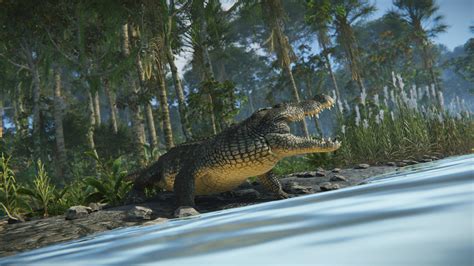 Jungle Update News — Rust