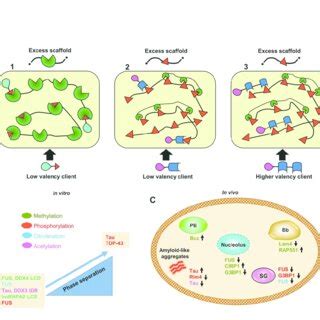 Compositional Control Model For Posttranslational Modification PTMs