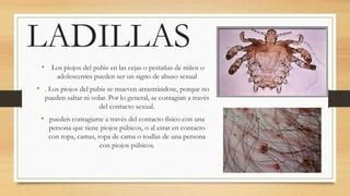 Enfermedades De TransmisiÓn Sexualpptx