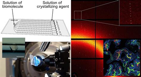 Idylle On Linkedin Microchips To Explore The 3d Architecture Of