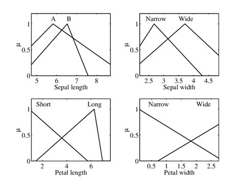the fuzzy sets in the antecedent of the optimized two rule classifier