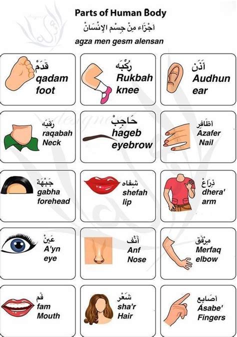 Arabic Vocabulary Al Azhar Arabic Online