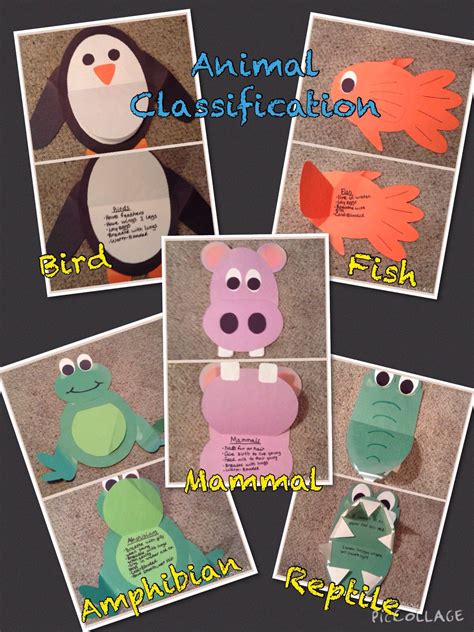 Animal Classification Craftivities Activities And Printables Animal