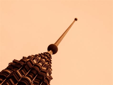 картинки рука дерево осветительные приборы игрушка Форма 3648x2736 14577 красивые