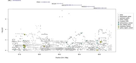 Chromosome 1 Qtl From Mean Hair Length Association Analysis Coloured Download Scientific