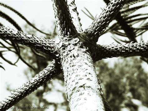 Magdy Abo El SǮood Photographer