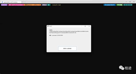 winform（二）：winfrom中main函数的入参和出参 董川民