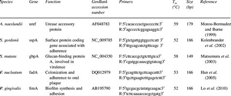 The DNA Fragments Amplified In This Study Download Scientific Diagram