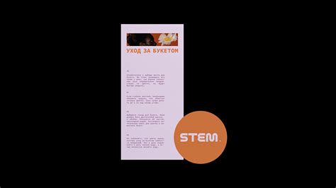 Stem Flower Store Logotype And Brand Identity On Behance