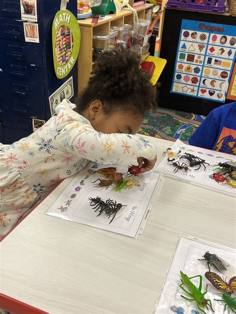 elc rca on twitter insect sorting in pre k prek insects math dph