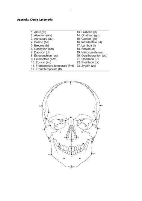 Cranial Landmarks To Mark Ectoconchion Move A Toothpick Or Other Thin Straight Instrument Up