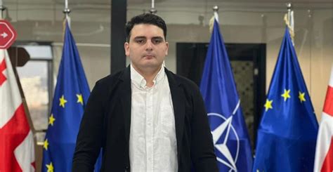 ლევან სანიკიძე ყაველაშვილის უმაღლესი მთავარსარდლობა ეროვნული