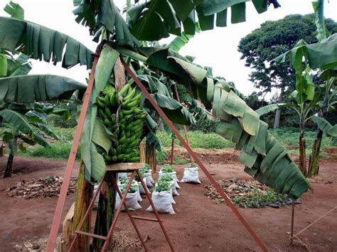 Sushant Khadka Posted On Linkedin