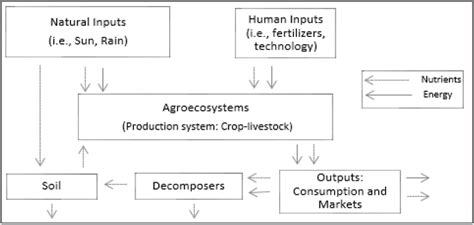 Exploring Connections In Agroecosystems