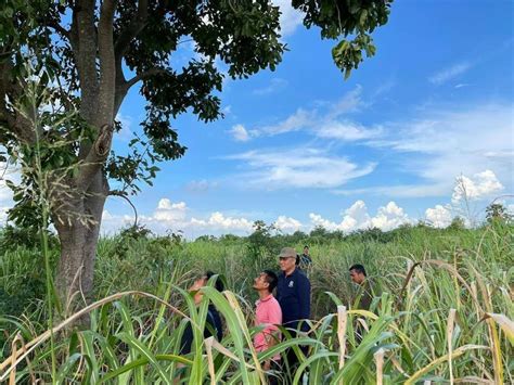 បុរសបែកថ្នាំម្នាក់នាំកូនស្រីឡើងដើមឈើបម្រុងធ្វើអត្តឃាតតែមិនបានសម្រេចត្រូវប្រពន្ធនិងសមត្ថកិច្ចលួងល