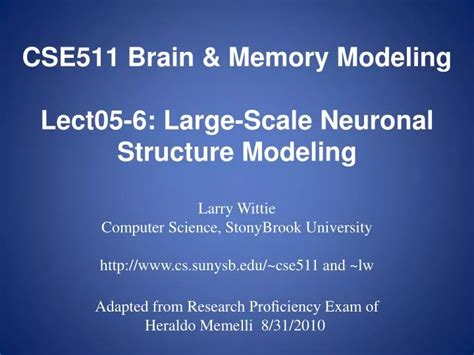 Ppt Cse511 Brain And Memory Modeling Lect05 6 Large Scale Neuronal Structure Modeling