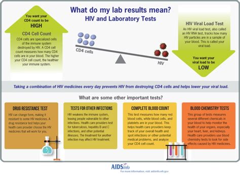 What Do Viral Load And Cd4 Count Mean Prevention Nyc