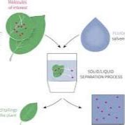 Plant Extraction And Fractionation