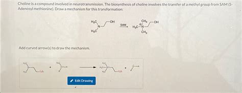 Solved Choline Is A Compound Involved In Neurotransmission