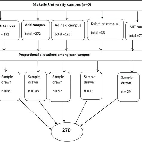 Schematic Presentation Of Sampling Procedure Download Scientific Diagram