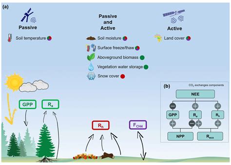 Ch5 P94 Types Of Transport Passive Transport Diffusion Osmosis Facilitated Diffusion Active