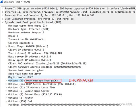 Wireshark抓包分析dhcp协议 Dhcp Relay Wireshark Csdn博客