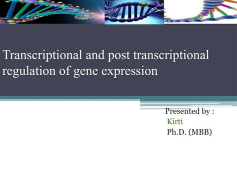 Transcription Regulation In Eukaryotes Pptx Biological Sciences