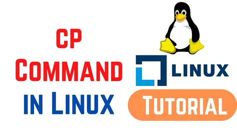 Linux Command Line Basics Tutorials Cp Command In Linux Youtube