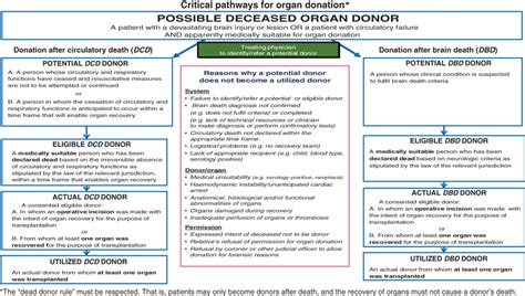 The Critical Pathways For Dbd And Dcd As Published By The World Health